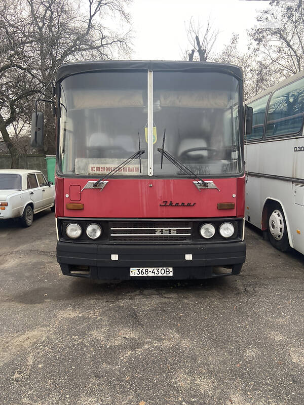 AUTO.RIA – Продам Ікарус 256 1982 : 3000 $, Одеса